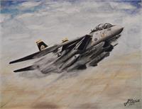 F 14 Tomcat Painting By James Reale - gotartwork.com